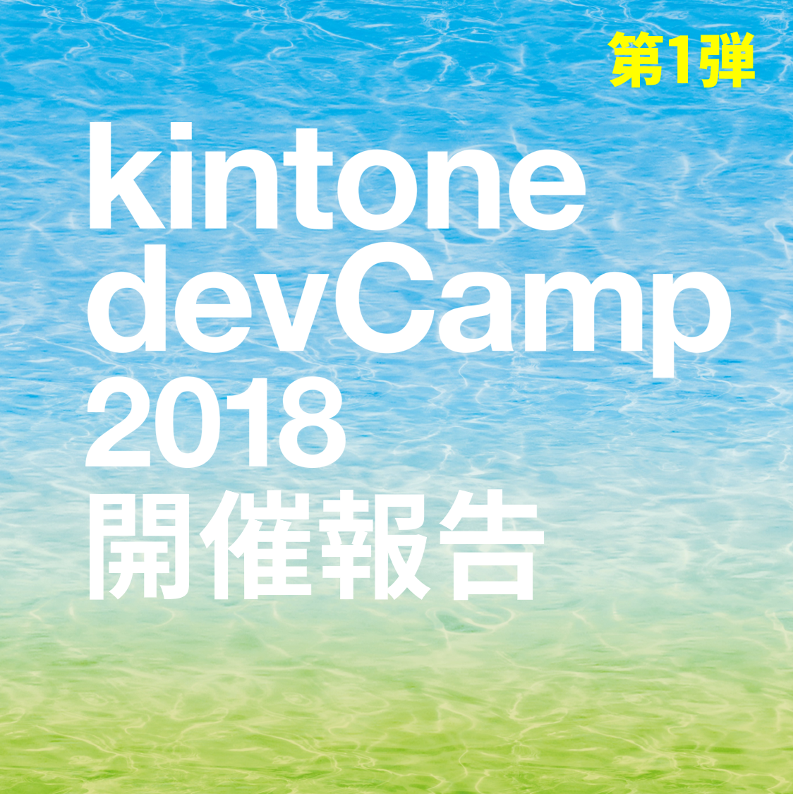 kintone devCamp 2018 開催報告が来たぁぁぁあー♪ ～第1弾～ | kintone hive online